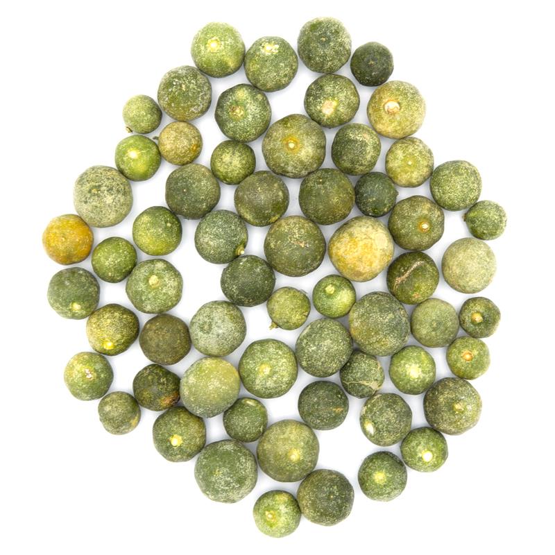 Amboina : Diepvries